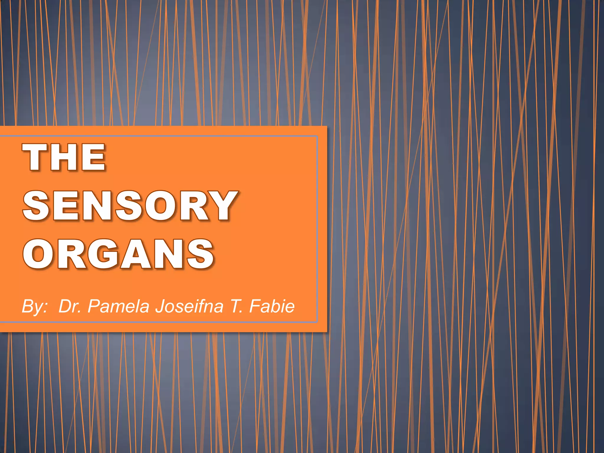 Sensory organs | PPTX
