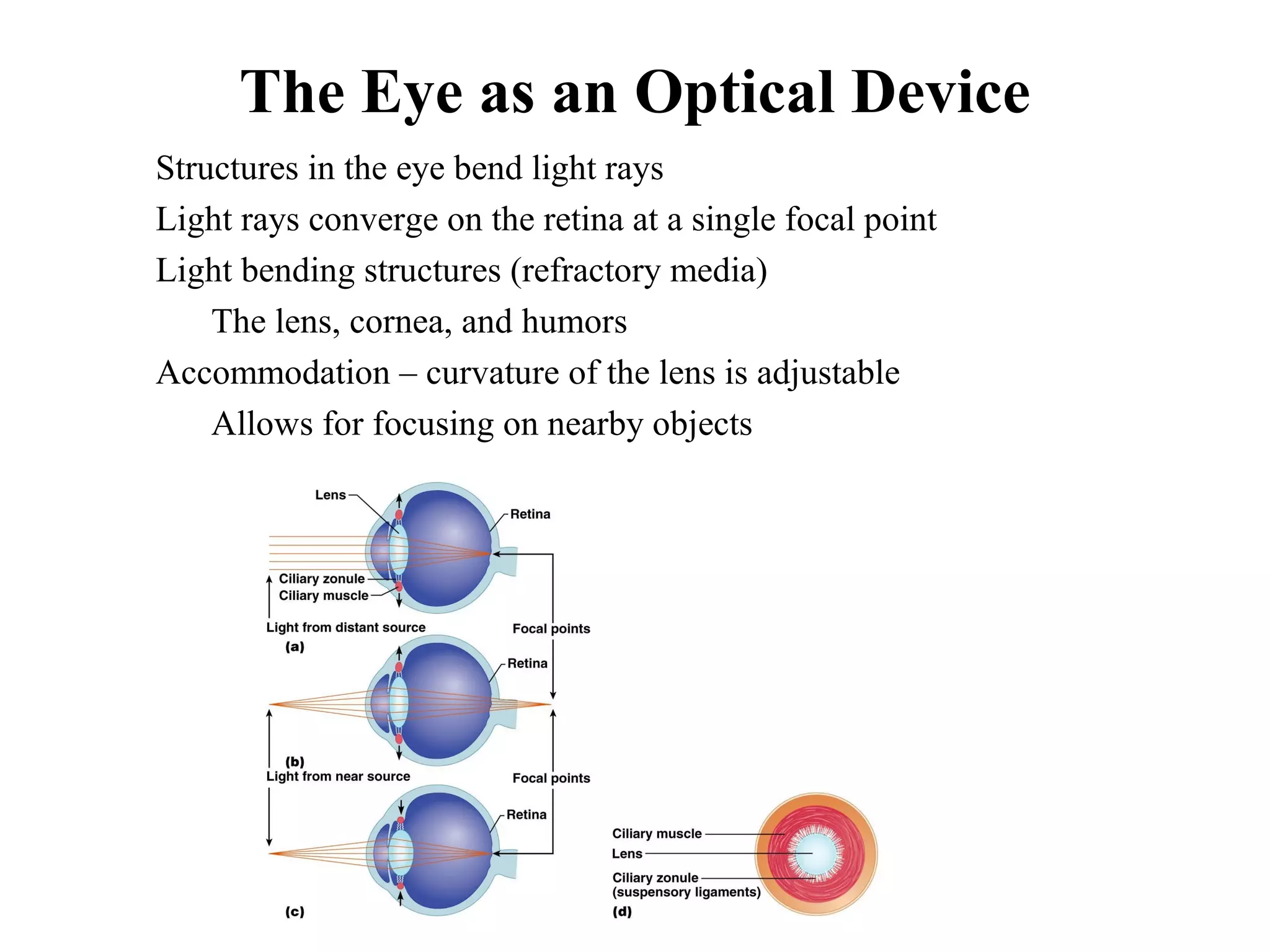 Sensory organs | PPT