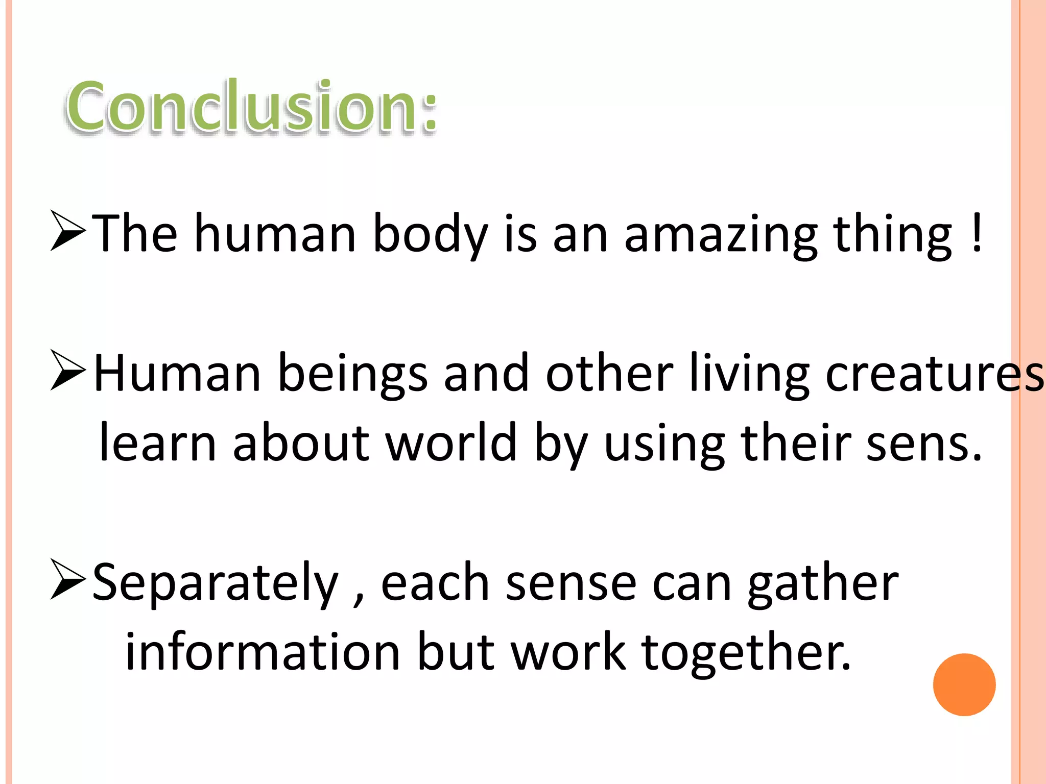 Sense Organs | PPTX