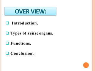 Sense Organs | PPTX