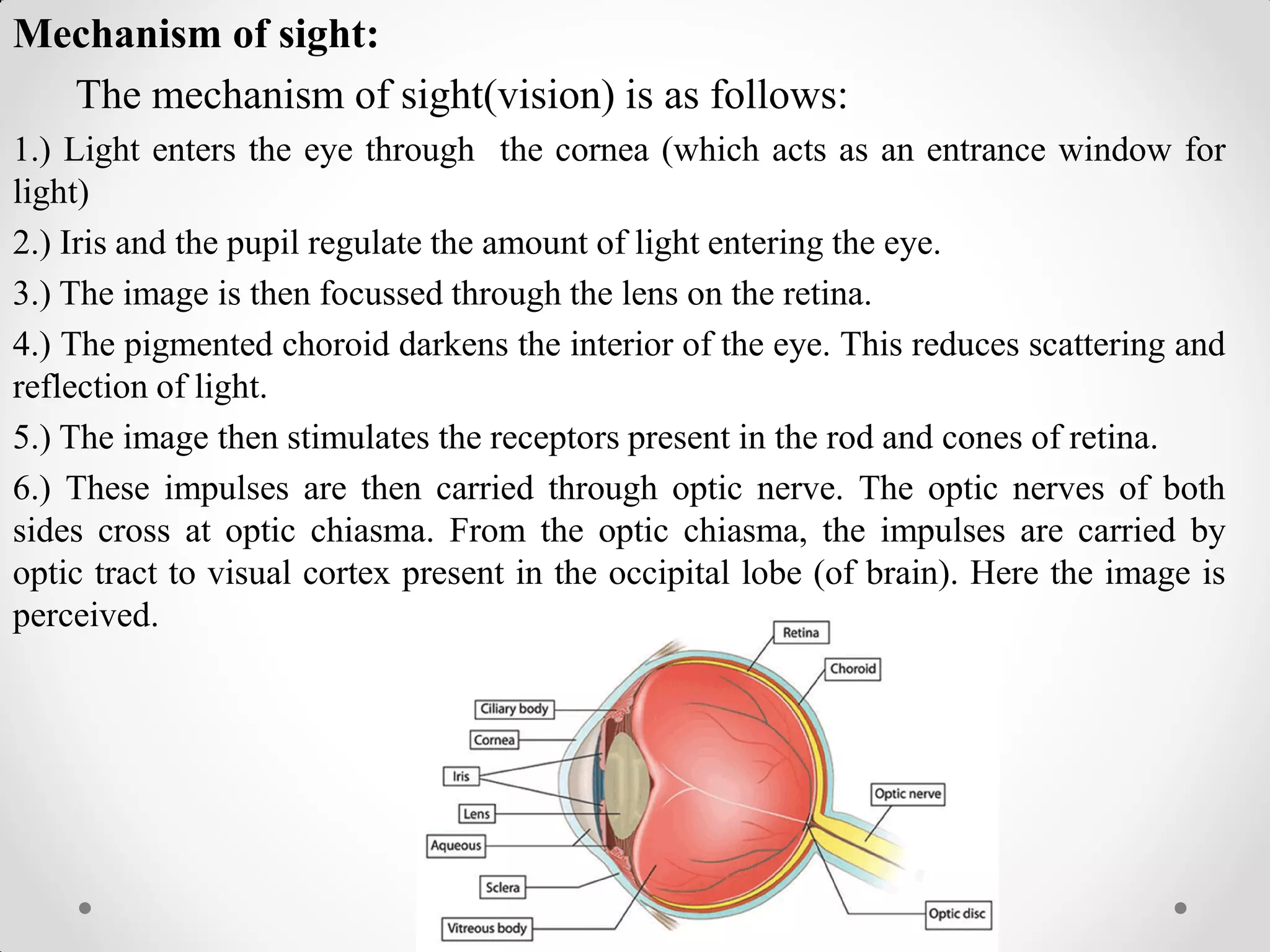 Sensory organs | PDF