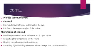 SENSORY ORGANS...(EYE).pptx