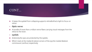 SENSORY ORGANS...(EYE).pptx