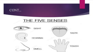 SENSORY ORGANS...(EYE).pptx