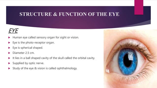 SENSORY ORGANS...(EYE).pptx