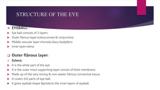 SENSORY ORGANS...(EYE).pptx