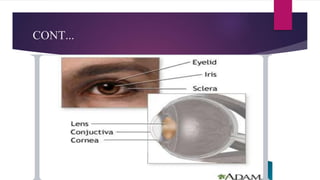 SENSORY ORGANS...(EYE).pptx