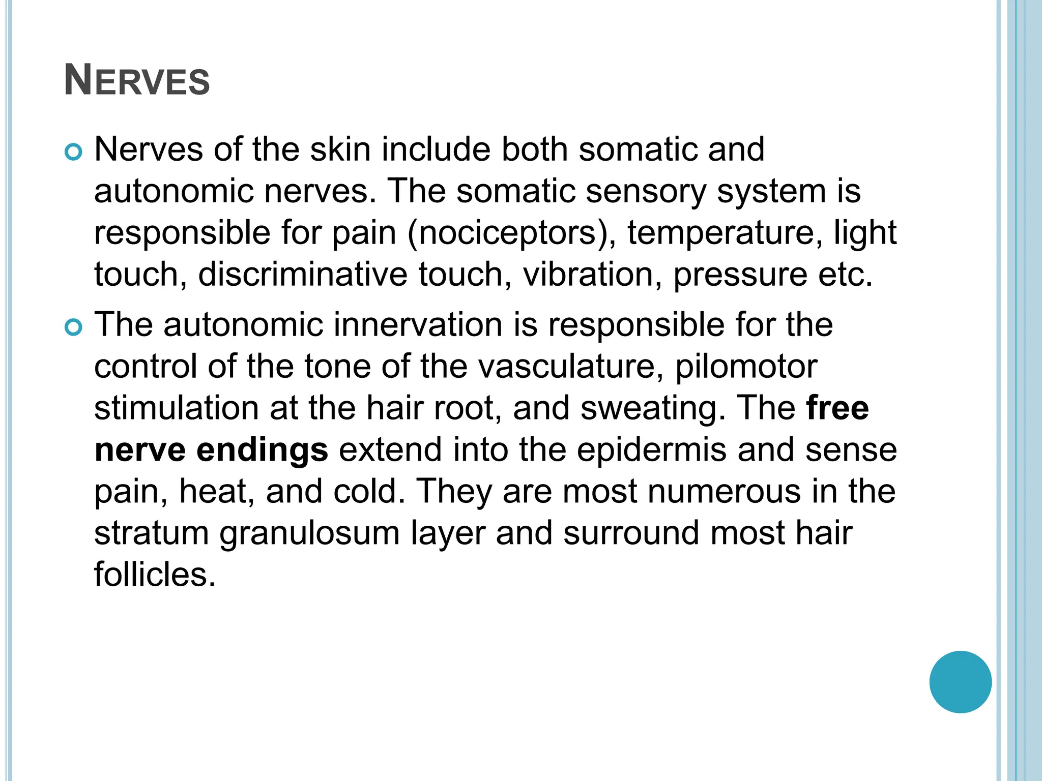 The Sensory Organs ( Anatomy & Physiology) | PPTX