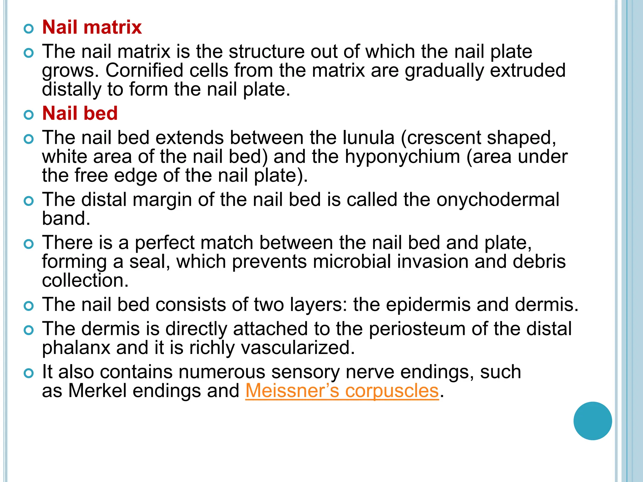 The Sensory Organs ( Anatomy & Physiology) | PPTX
