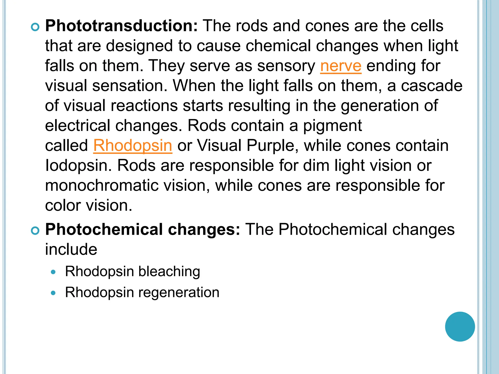 The Sensory Organs ( Anatomy & Physiology) | PPTX