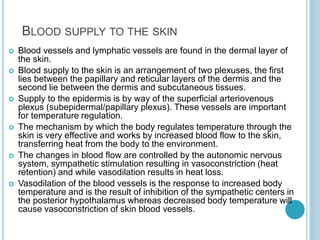 The Sensory Organs ( Anatomy & Physiology) | PPTX | Skin and ...