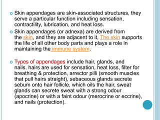 The Sensory Organs ( Anatomy & Physiology) | PPTX