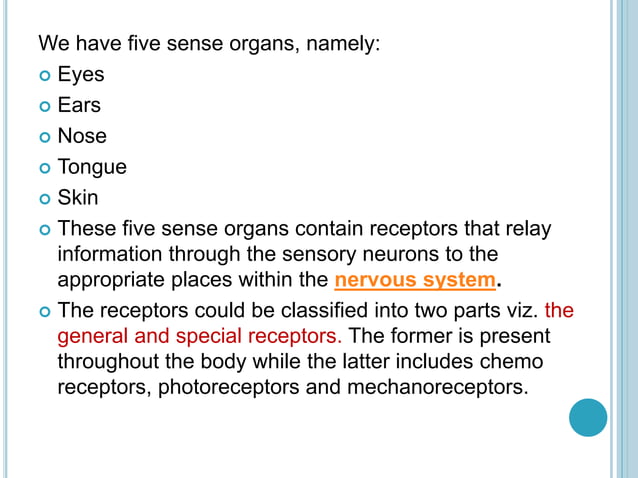The Sensory Organs ( Anatomy & Physiology) | PPTX | Skin and ...