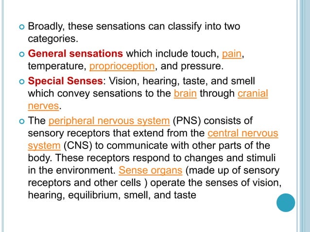 The Sensory Organs ( Anatomy & Physiology) | PPTX | Skin and ...
