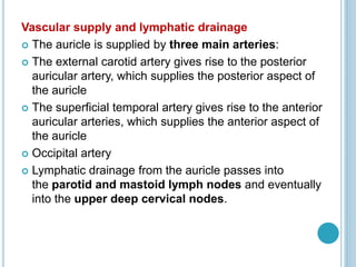The Sensory Organs ( Anatomy & Physiology) | PPTX