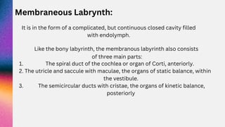 Sensory Organs- Anatomy.pdf.pdf for paramedics | PDF