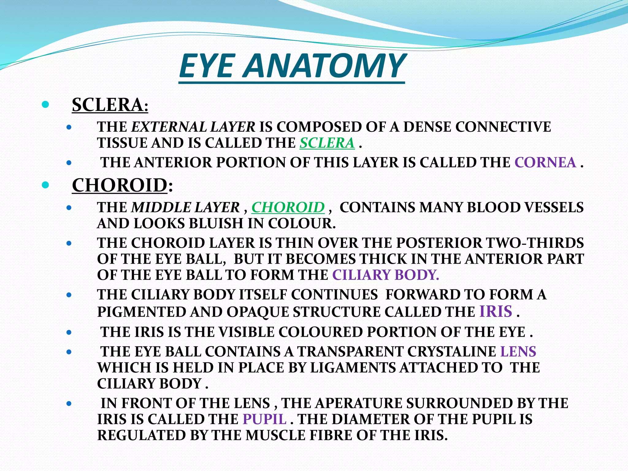 SENSORY ORGAN: EYES// EYE STRUCTURE// EYE BALL | PPTX