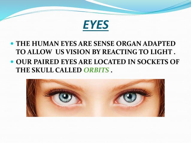 SENSORY ORGAN: EYES// EYE STRUCTURE// EYE BALL | PPT