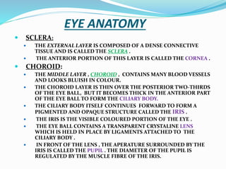SENSORY ORGAN: EYES// EYE STRUCTURE// EYE BALL | PPTX