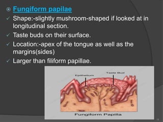 Sensory organs | PPT