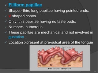 Sensory organs | PPT