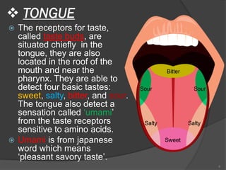 Sensory organs | PPT