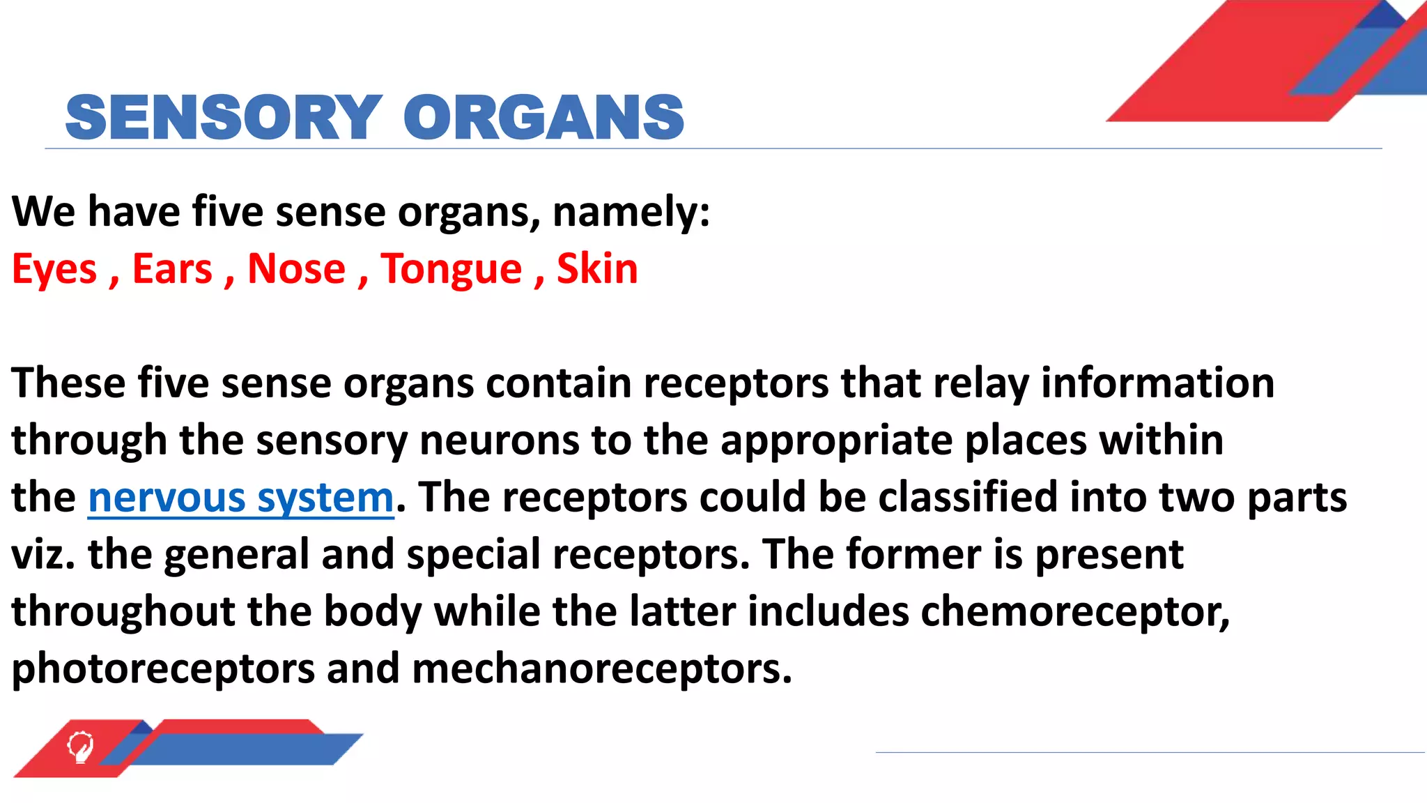 Sensory organs ; ears and nose | PPTX | Digital Audio | Computer ...