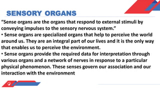Sensory organs ; ears and nose | PPTX