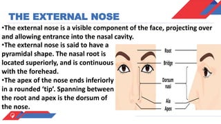 Sensory organs ; ears and nose | PPTX