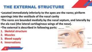 Sensory organs ; ears and nose | PPTX