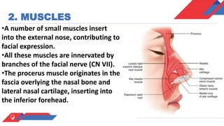 Sensory organs ; ears and nose | PPTX