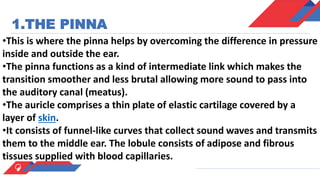 Sensory organs ; ears and nose | PPTX