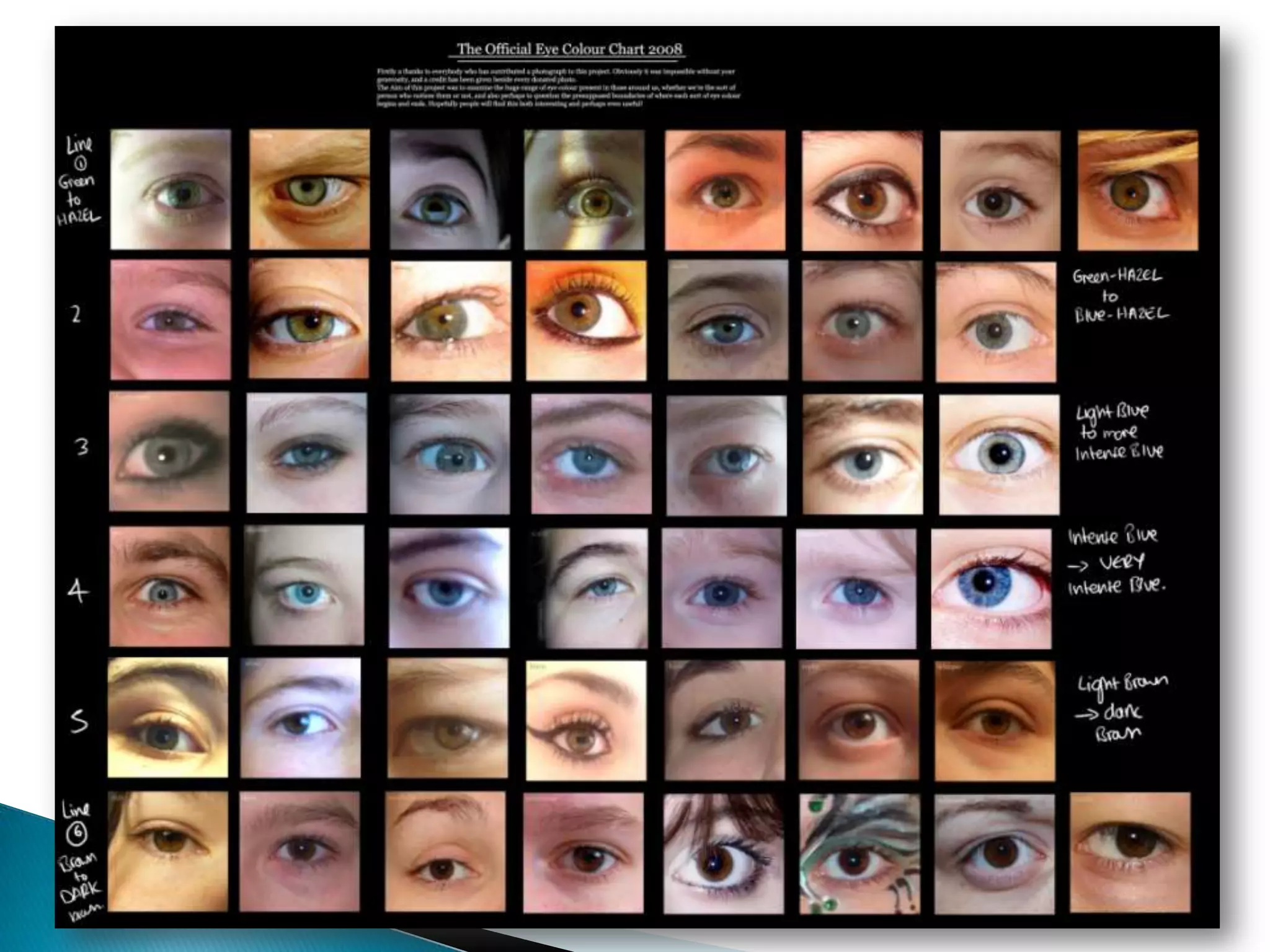 Sensory organs eyes | PPTX