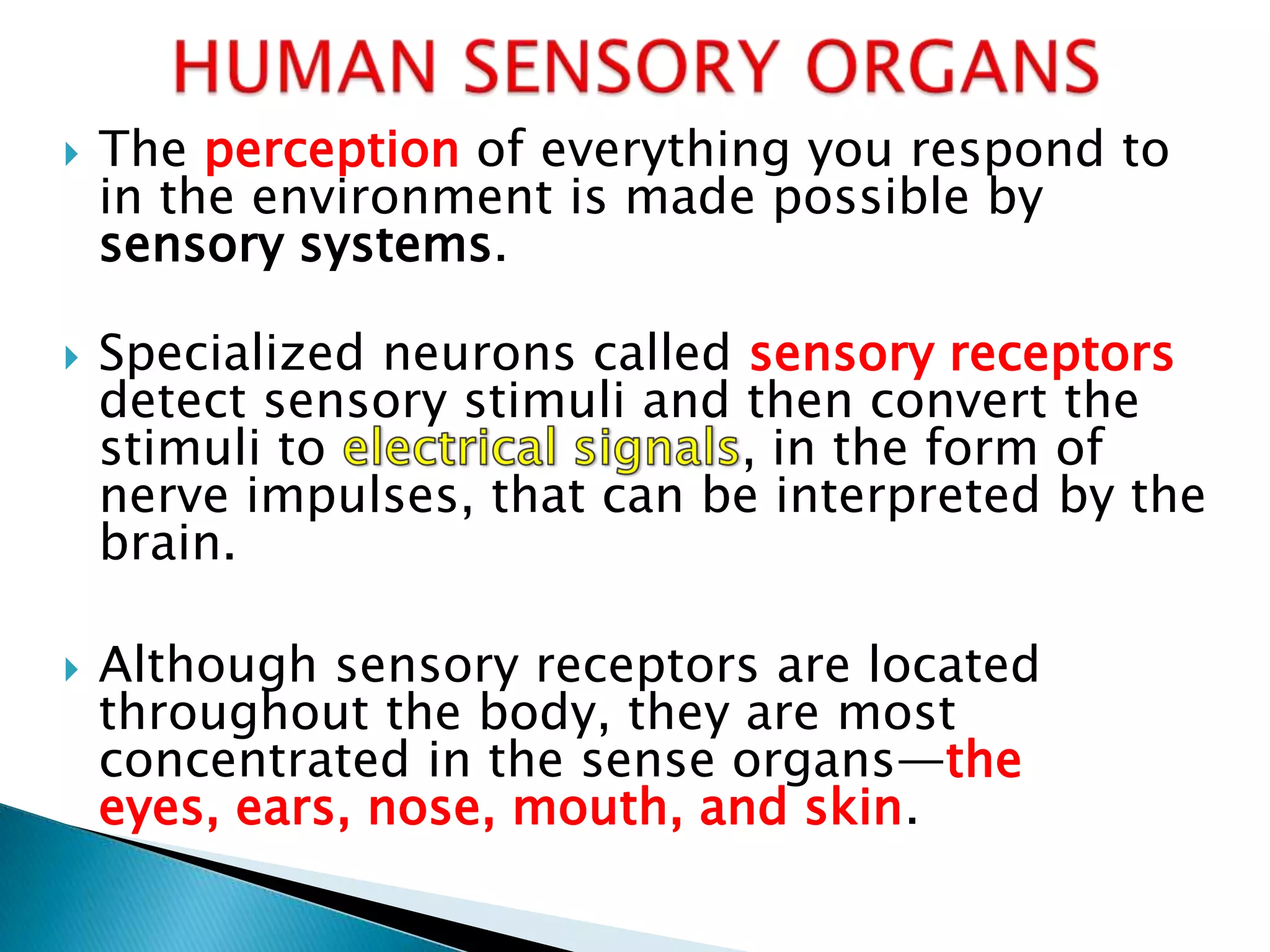 Sensory organs eyes | PPTX