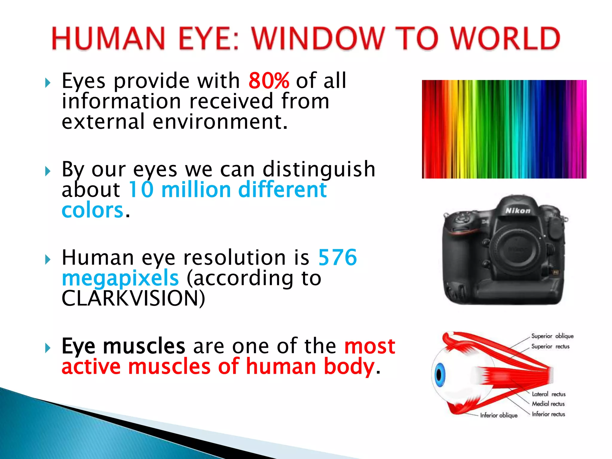 Sensory organs eyes | PPTX