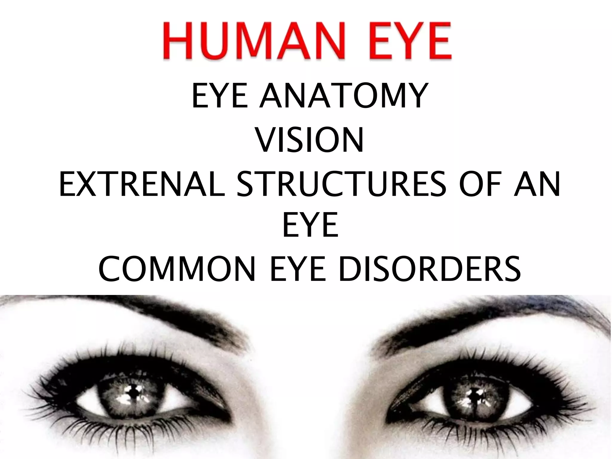 Sensory organs eyes | PPTX