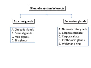 Sensoryorgansininsects 181226130043 | PPT