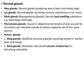 Sensoryorgansininsects 181226130043 | PPT