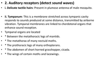 Sensoryorgansininsects 181226130043 | PDF
