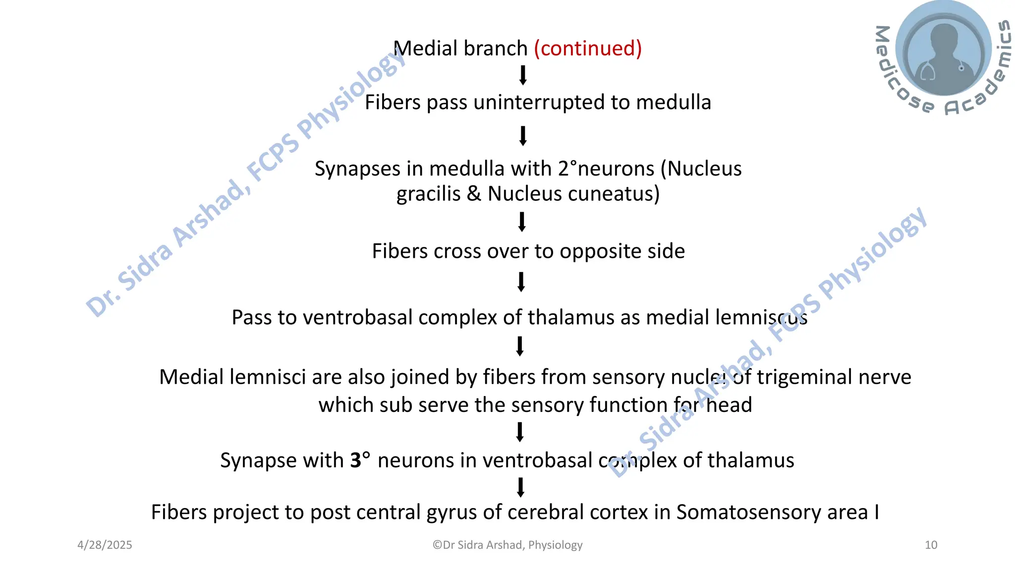 The Physiology of Central Nervous System - Sensory Pathways | PDF