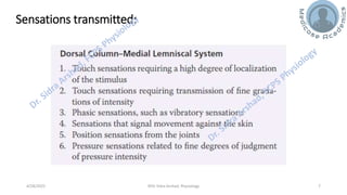 The Physiology of Central Nervous System - Sensory Pathways | PDF