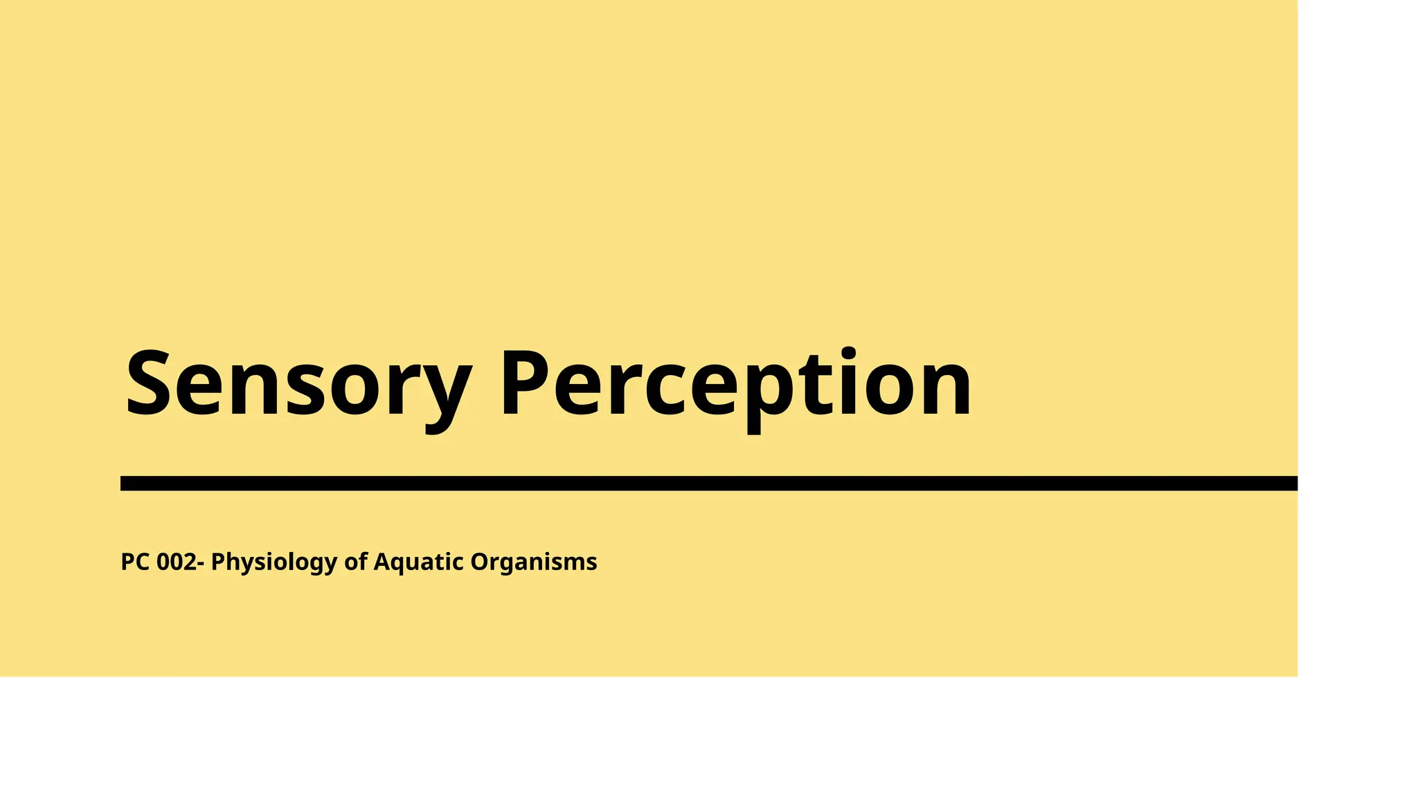Sensory Perception of fishes physiology of aquatic organism | PPTX