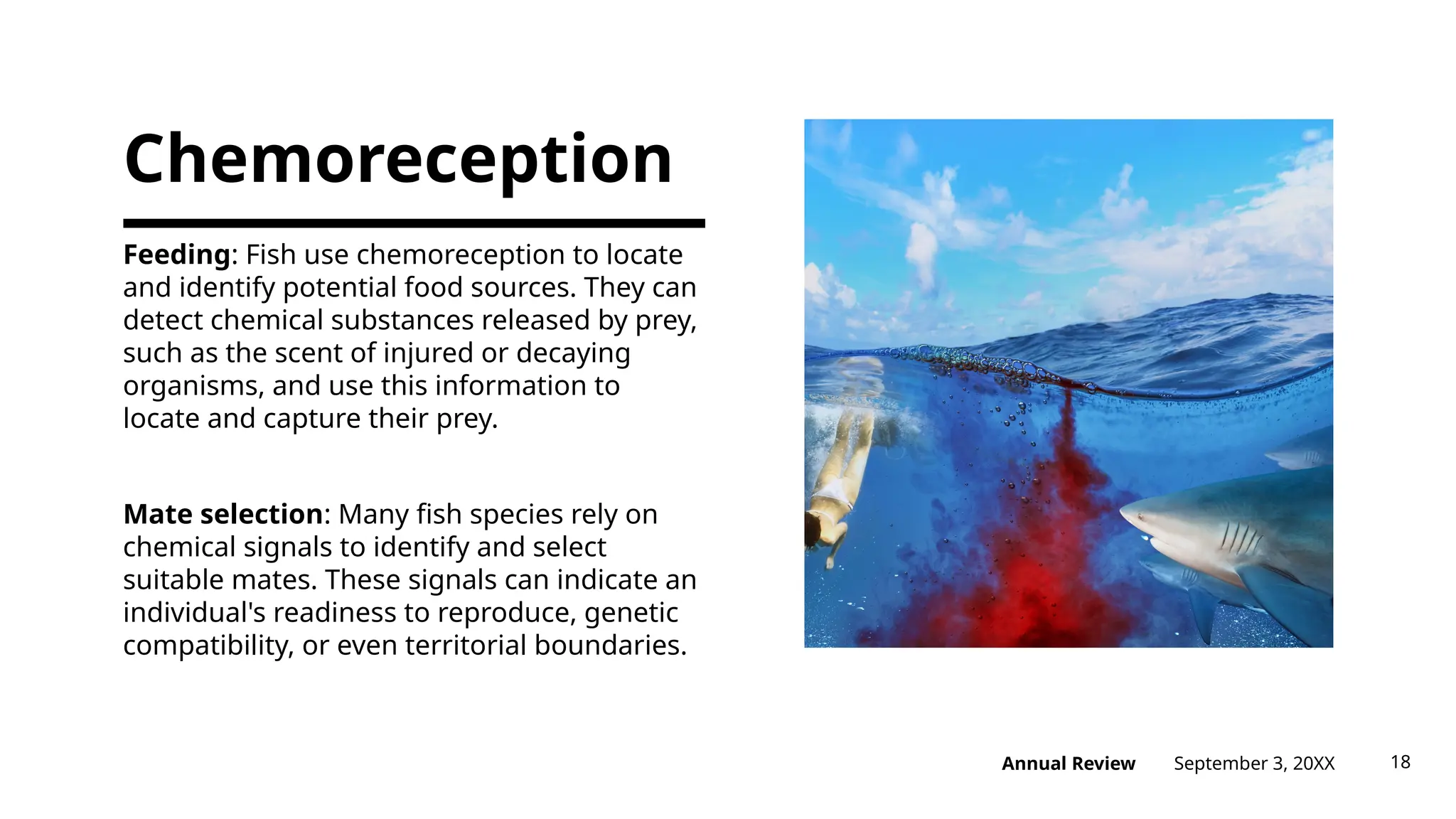 Sensory Perception of fishes physiology of aquatic organism | PPTX