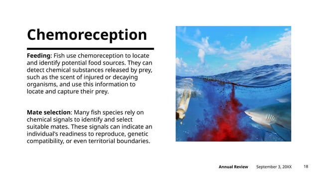Sensory Perception of fishes physiology of aquatic organism | PPT