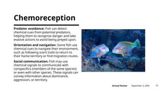 Sensory Perception of fishes physiology of aquatic organism | PPT