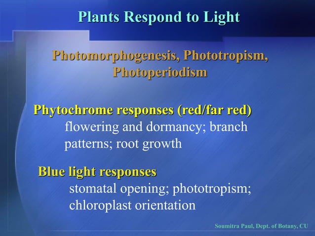 Sensory photobiology | PDF