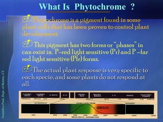 Sensory photobiology | PDF