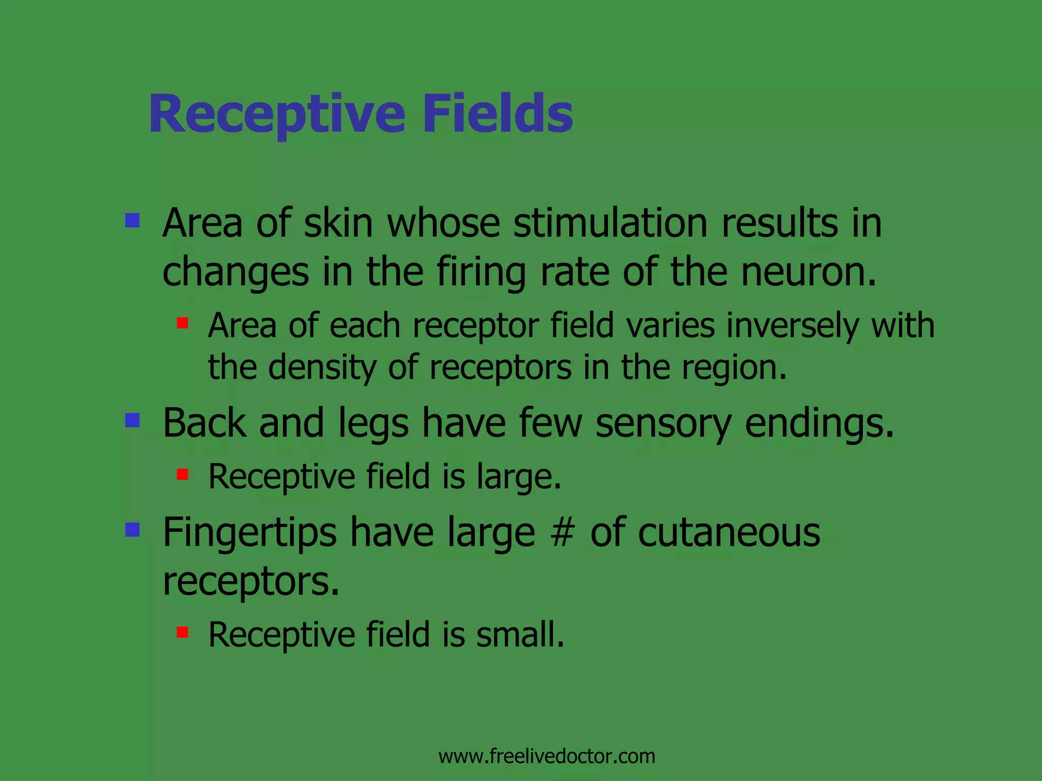 Sensory Physiology | PPT