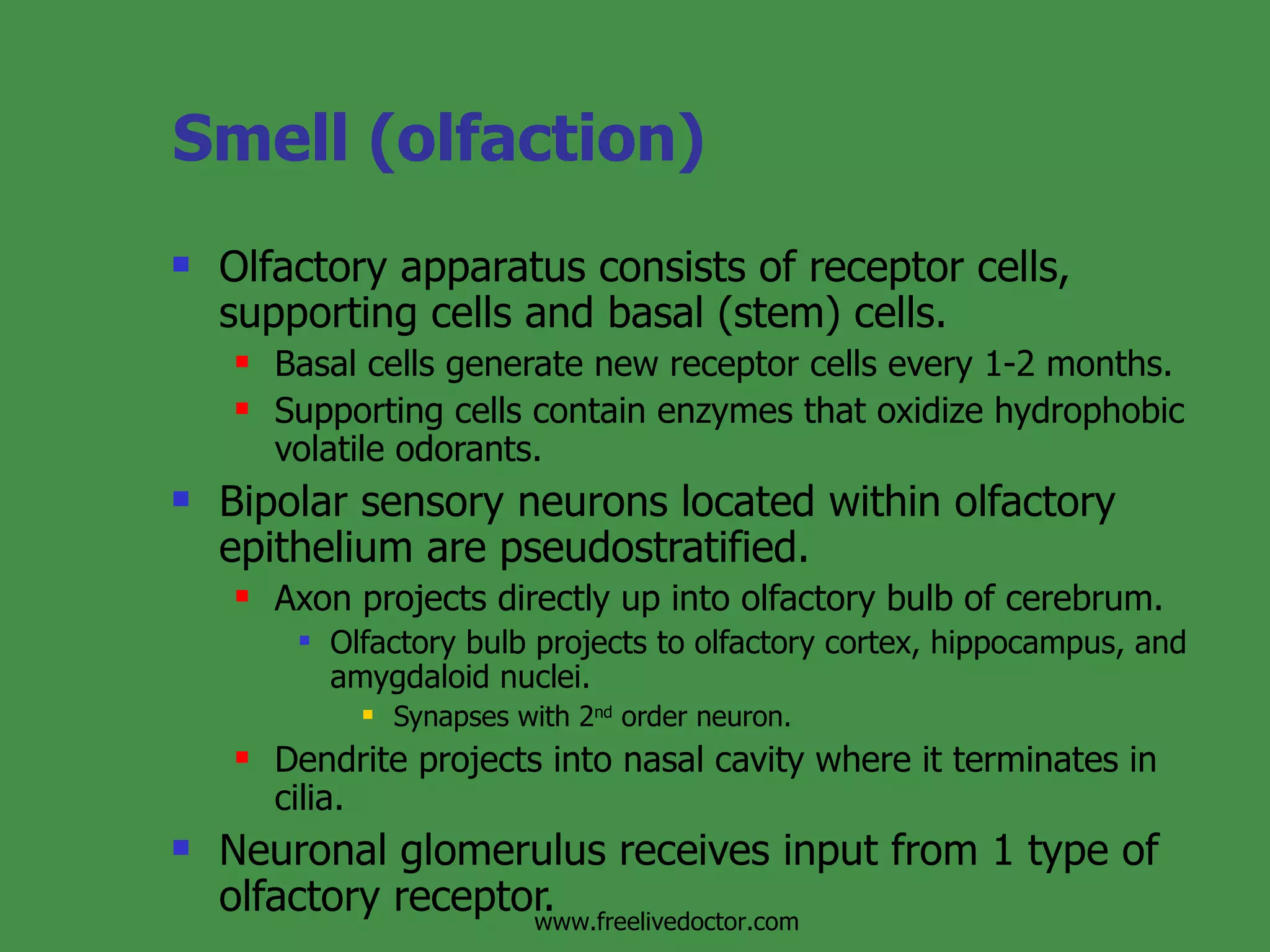 Sensory Physiology | PPT