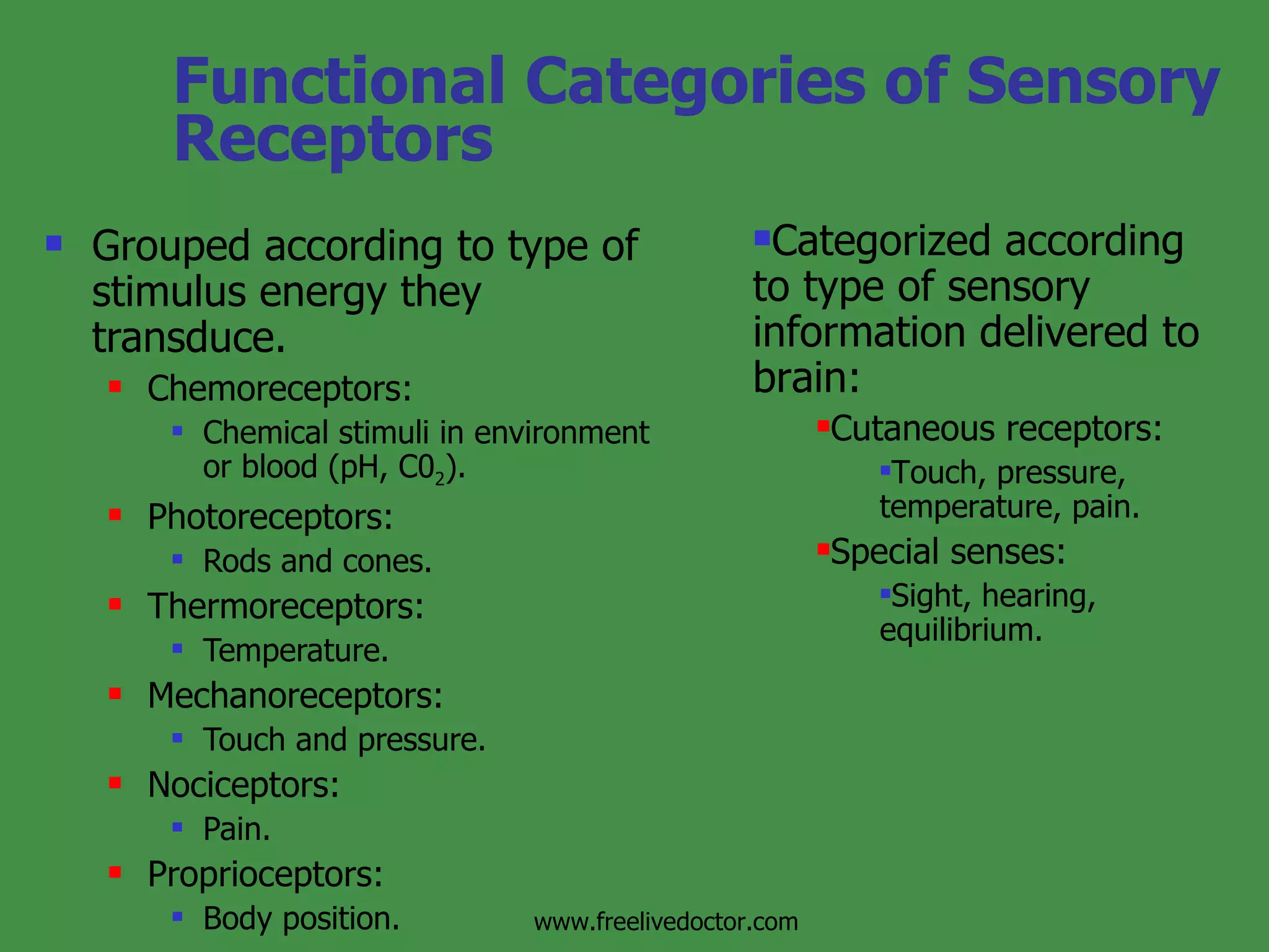 Sensory Physiology | PPT